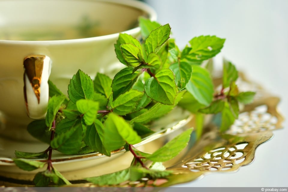 Tee aus Minze selber machen - Welche Wirkung hat frischer Minztee ...
