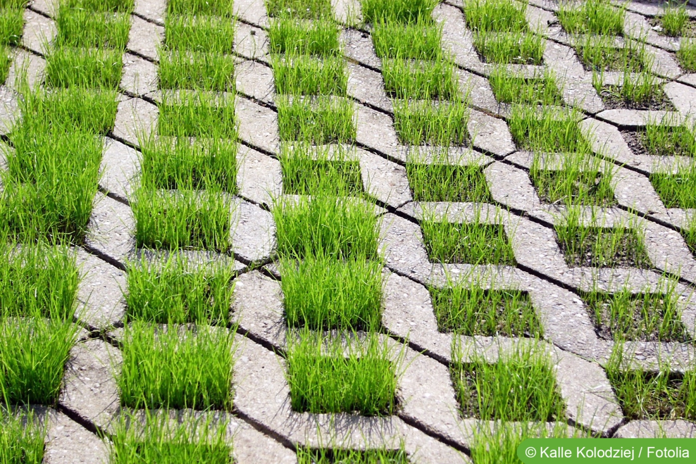 Rattanmöbel pflegen: reinigen, auffrischen und streichen - Hausgarten.net