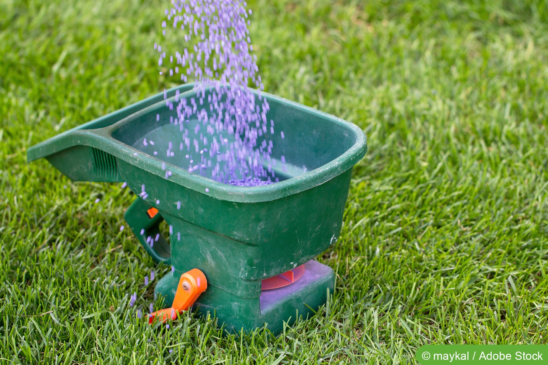 Sickerpackung - Drainage richtig verlegen in 6 Schritten - Hausgarten.net