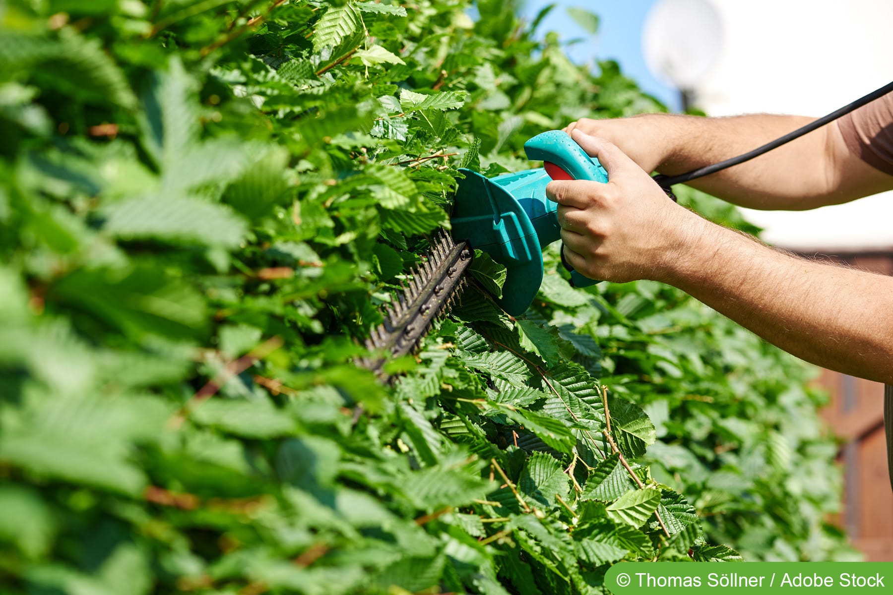 Sickerpackung - Drainage richtig verlegen in 6 Schritten - Hausgarten.net
