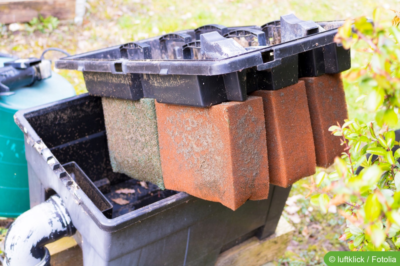 Spannende Teichfilter Selbst Bauen Eine Schritt Fur Schritt Anleitung Fur Den Perfekten Teich