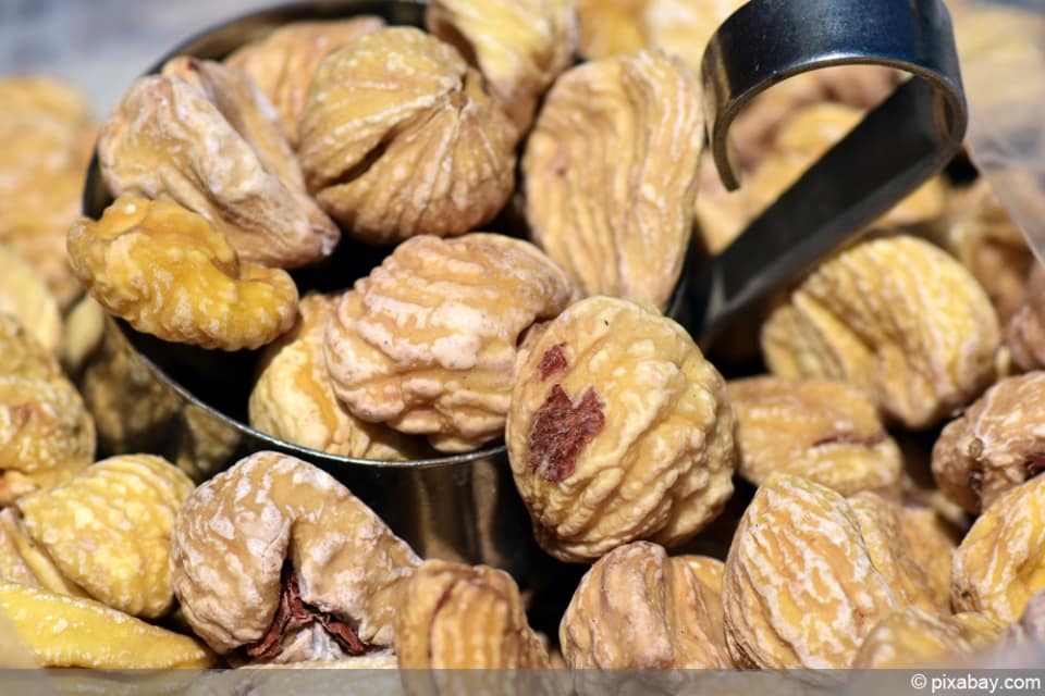 Maronenbaum, Esskastanienbaum - Pflege-Anleitung - Hausgarten.net