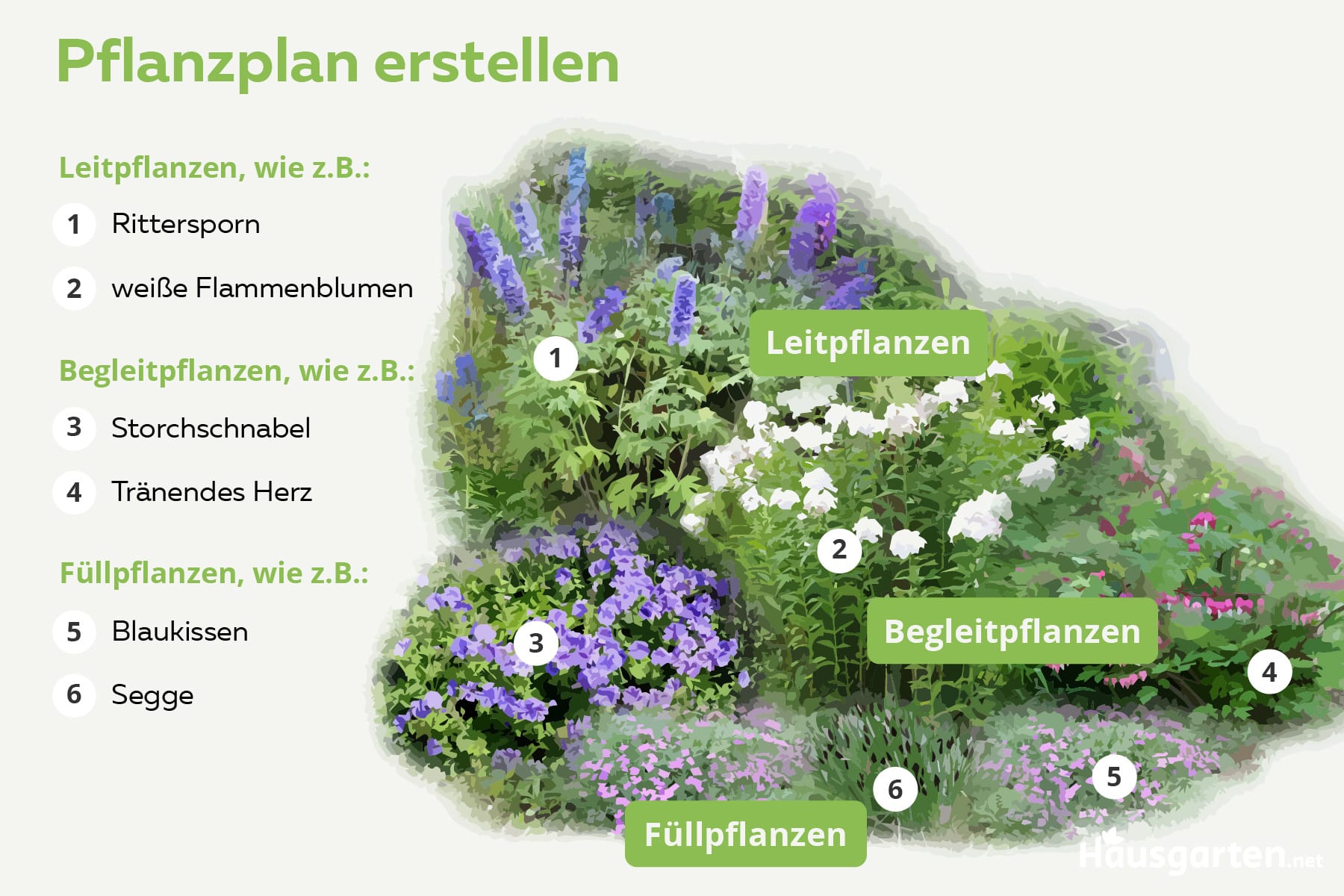 Anleitung: Pflanzplan für ein blühendes Staudenbeet - Hausgarten.net
