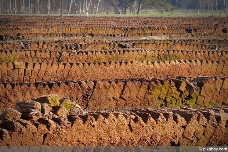 Torf: was ist Weißtorf und Schwarztorf? Eigenschaften und Verwendung ...