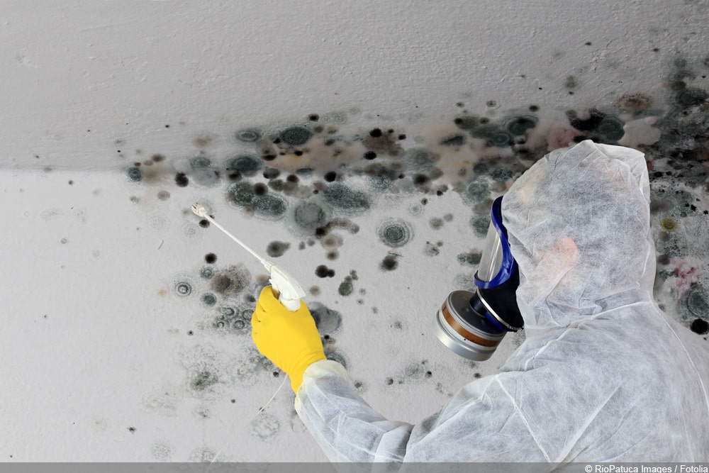 Sickerpackung - Drainage richtig verlegen in 6 Schritten - Hausgarten.net