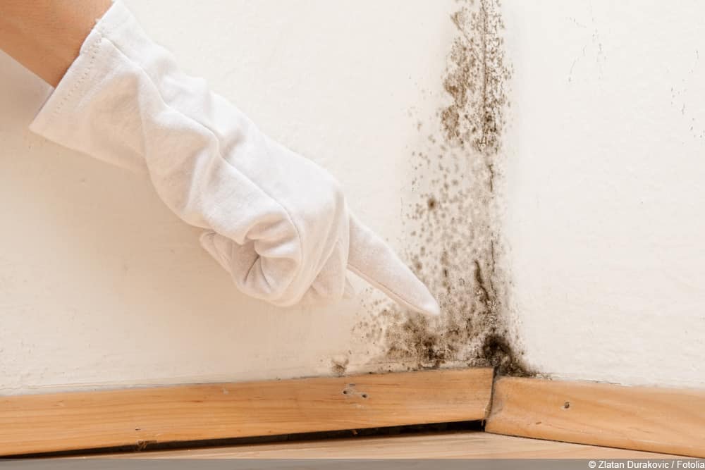 Sickerpackung - Drainage richtig verlegen in 6 Schritten - Hausgarten.net