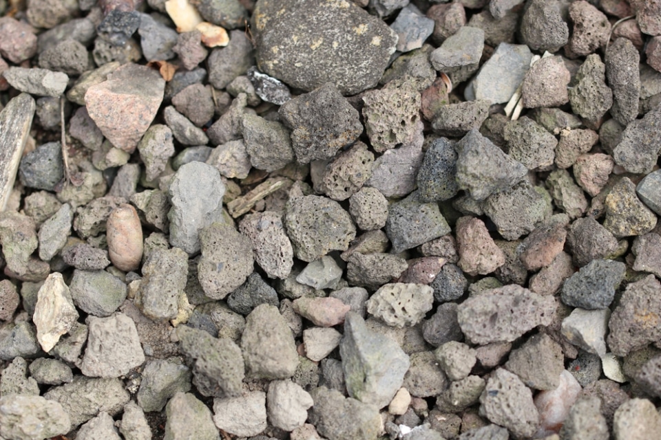 Was ist Substrat? Welches benötigen welche Pflanzen? | Misch-Anleitung ...