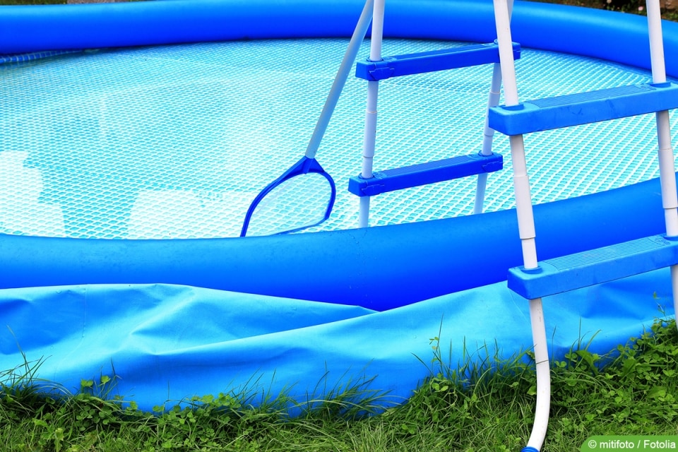 Tiere im Pool: was ist das? | Larven, Maden & Co - Hausgarten.net